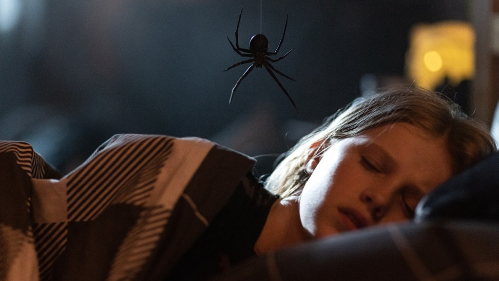 ‘Sting’ review – Crawly creature-feature weighed down by dull family ...